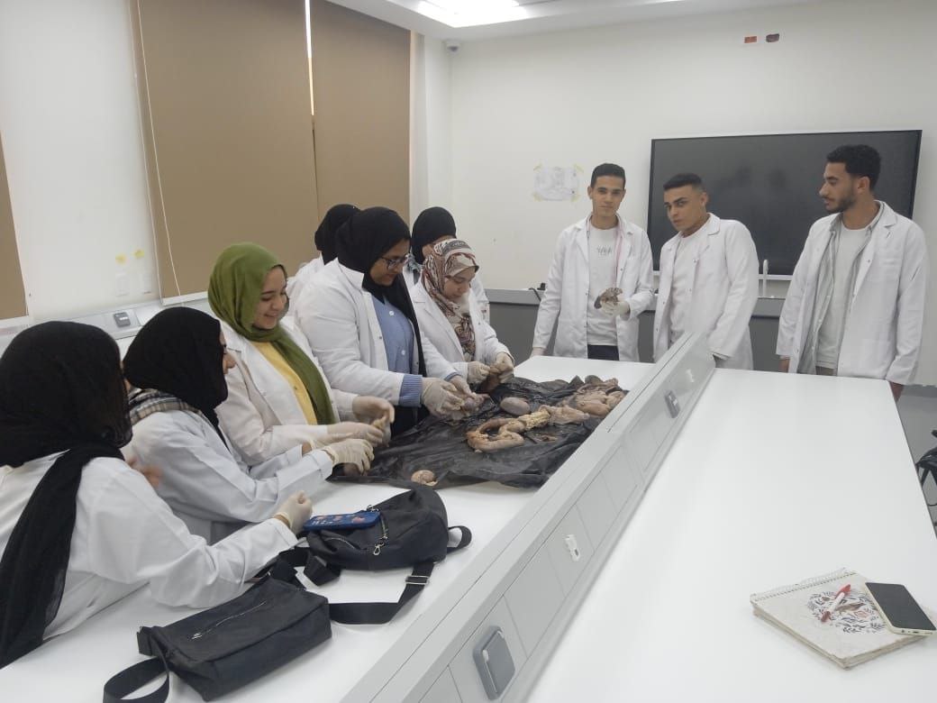 نظام التنسيق - جامعة المنوفية الأهلية